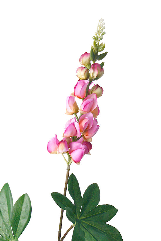 LUPIN SPRAY - PINK – Copperblue Home & Décor